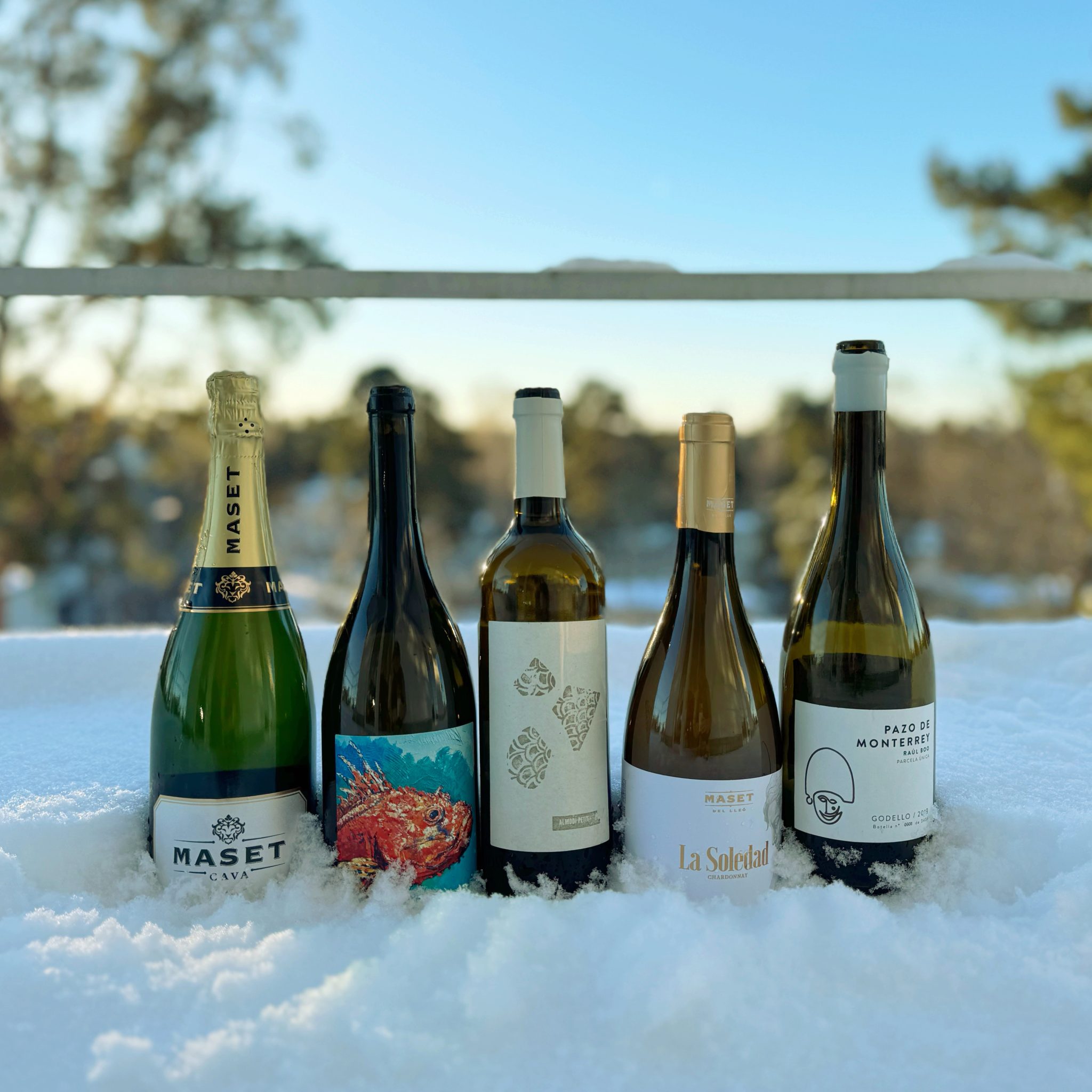 Tips på budgetvänliga viner - Fine Wine Service